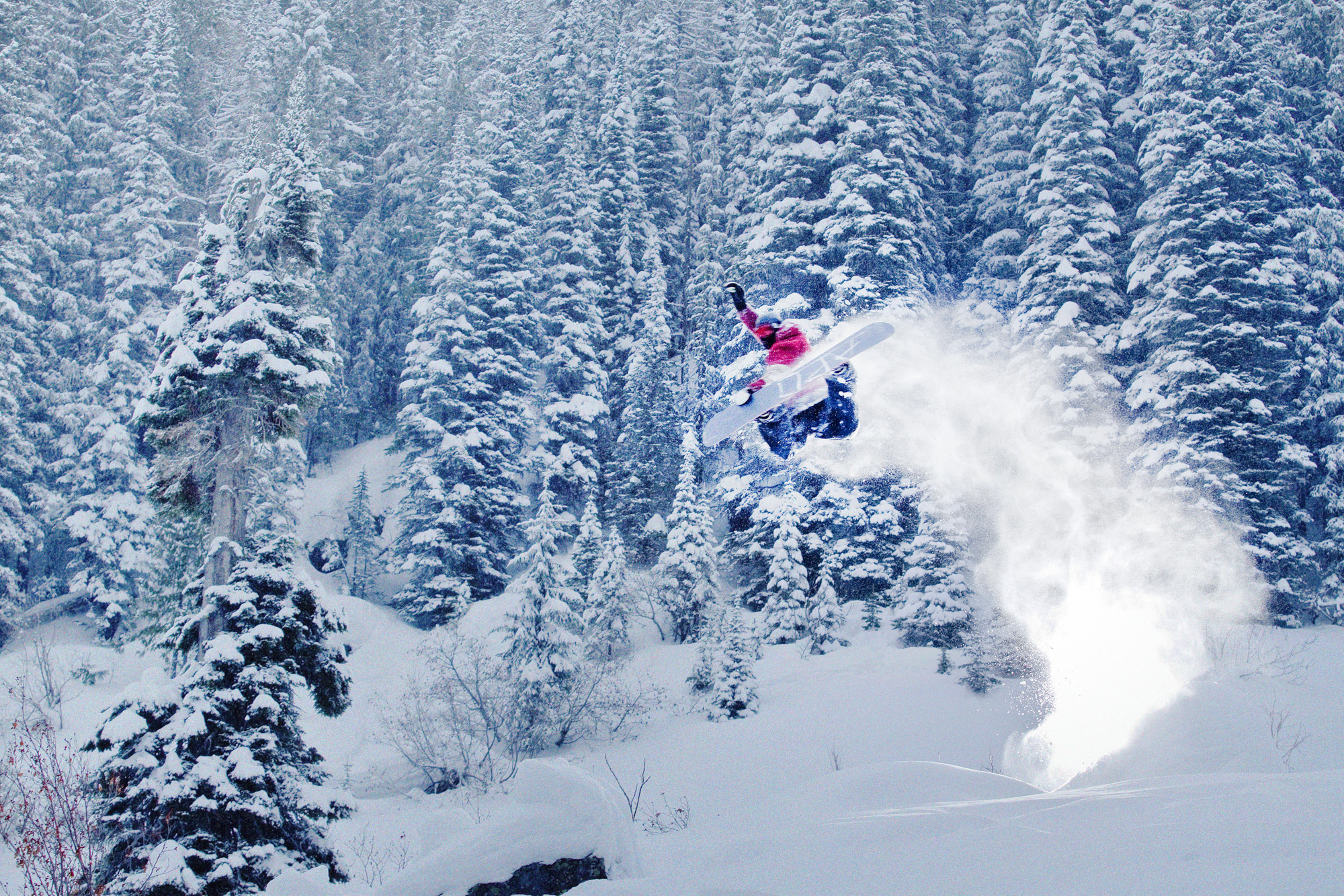Red Shred Redemption