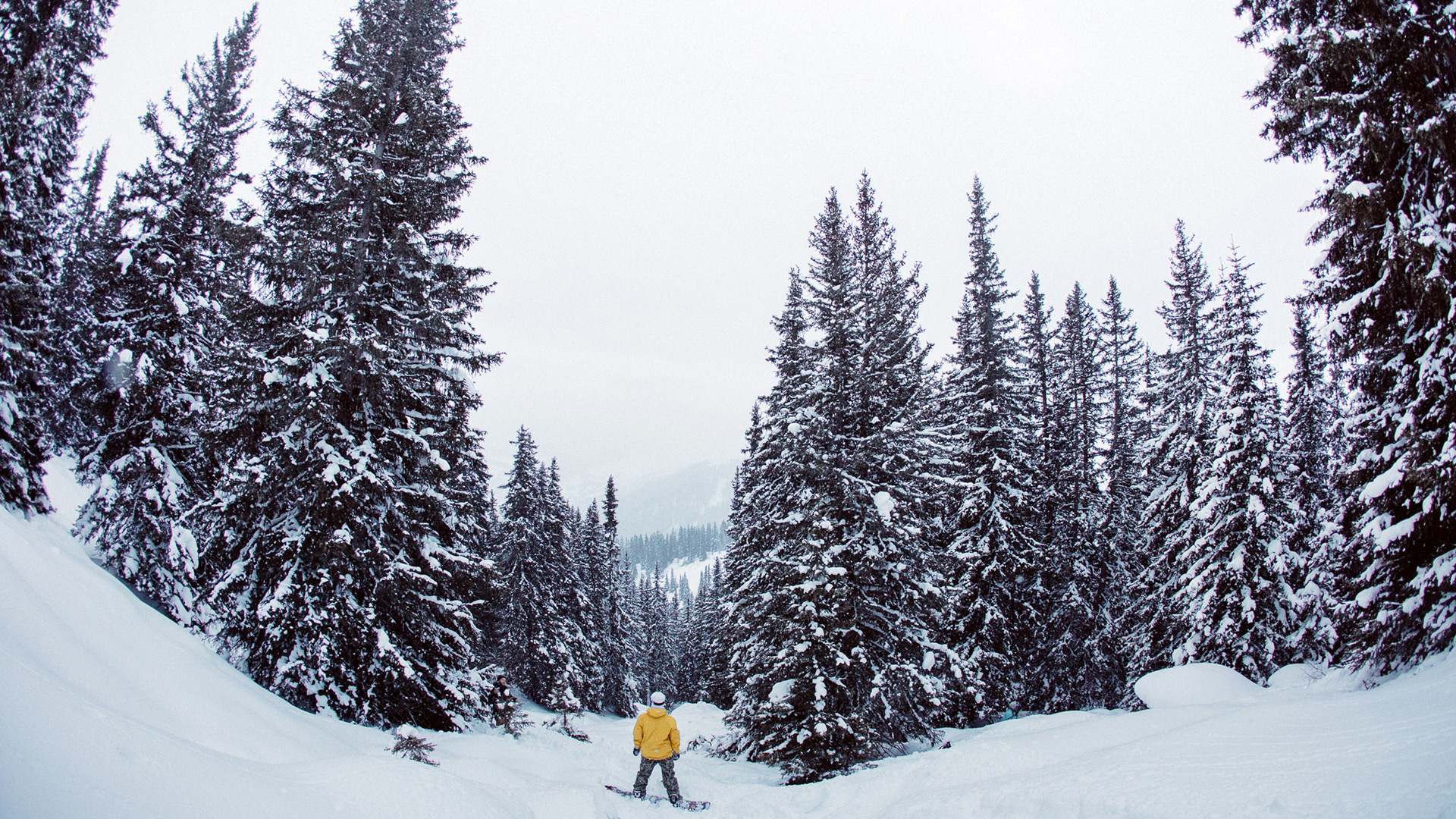 Ski Resorts Guide – Laax, Switzerland